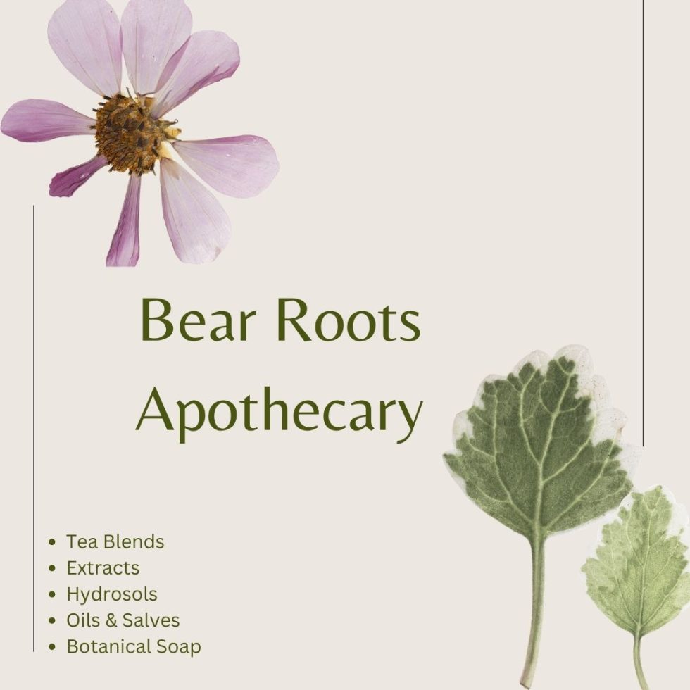 Bear Roots Forest | Herb Farm & Apothecary