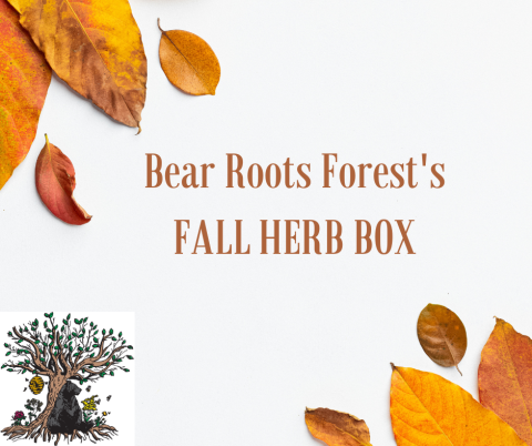 Bear Roots Forest | Herb Farm & Apothecary