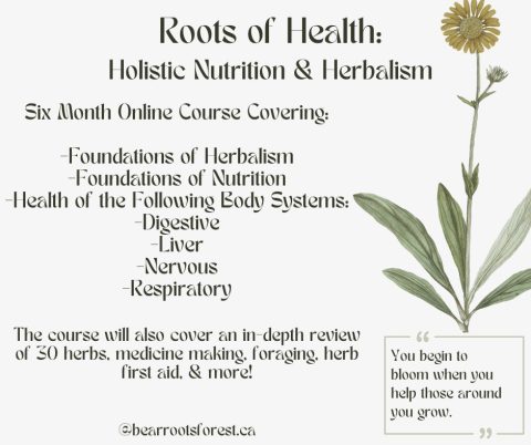 Bear Roots Forest | Herb Farm & Apothecary